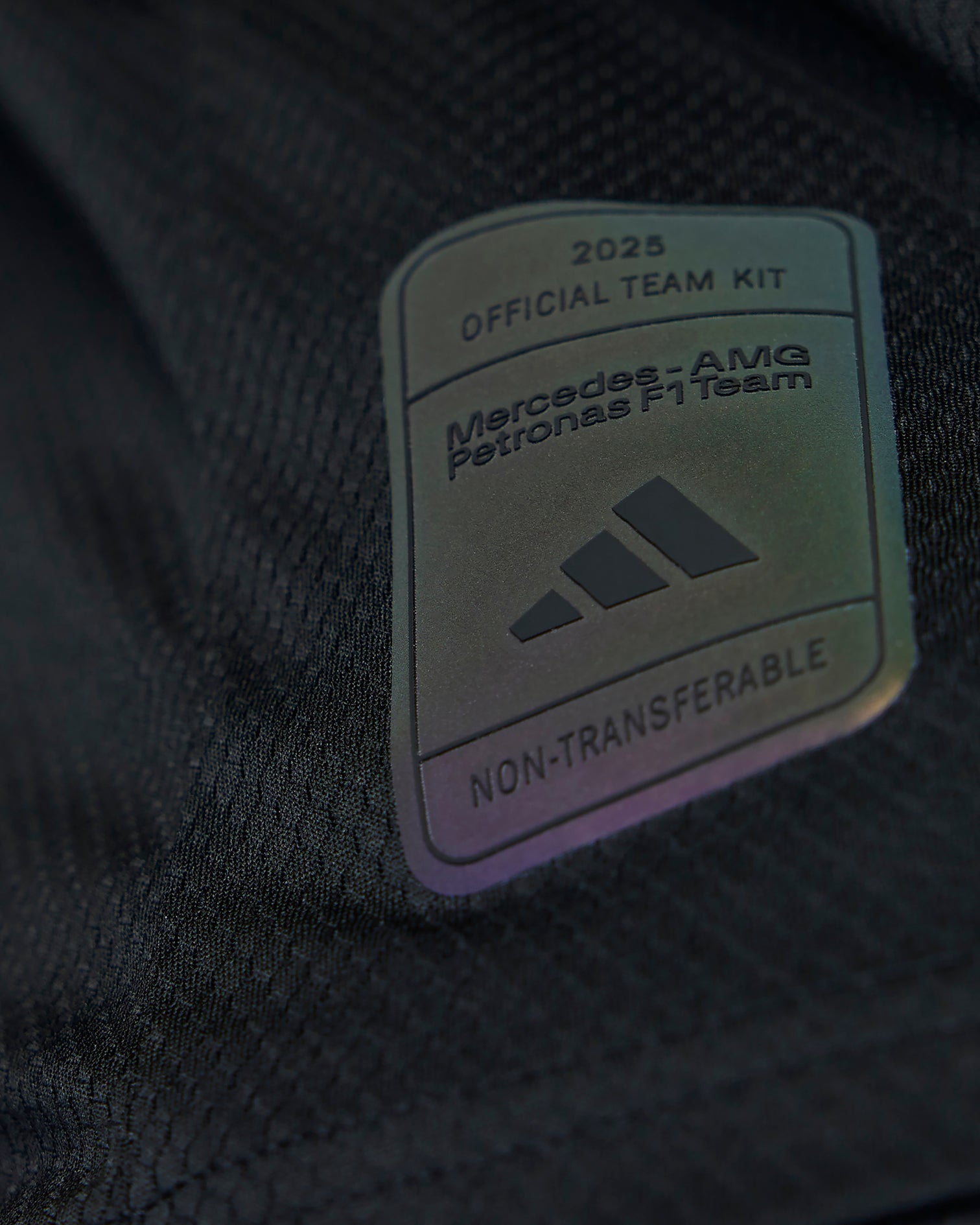 Mens 2025 Authentic Driver Tee Black | Official Mercedes-AMG PETRONAS ...